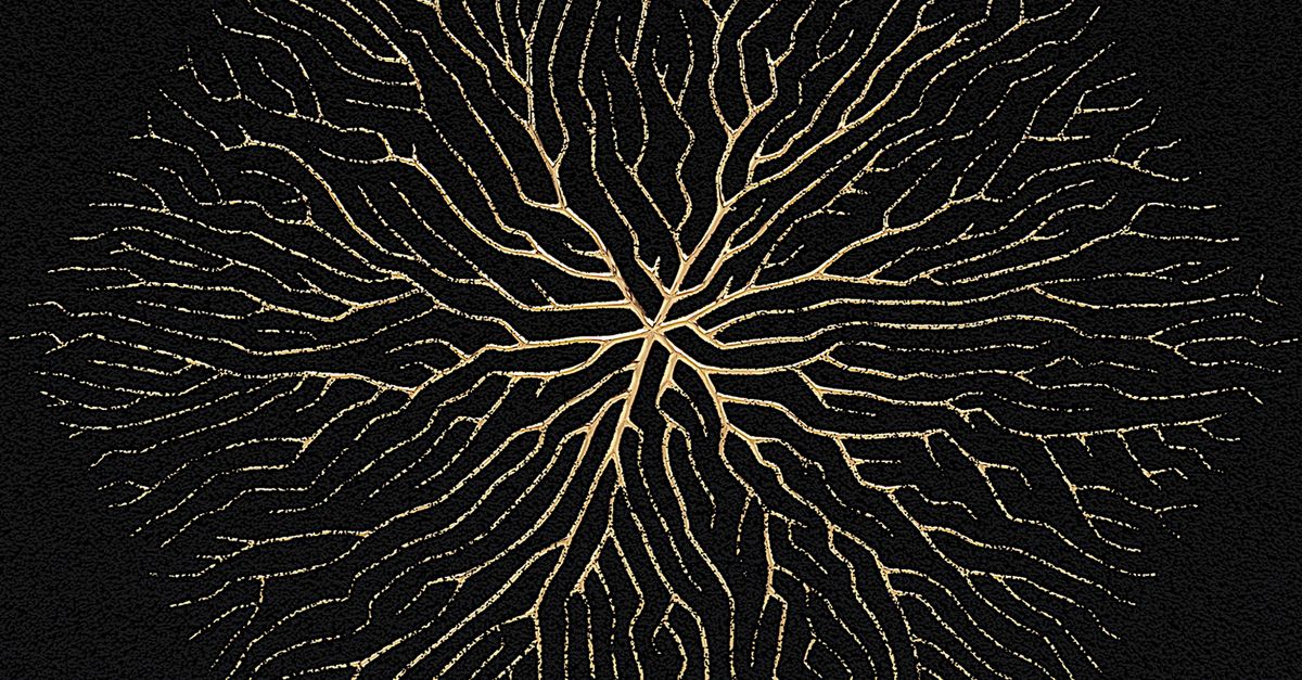 Notations Grand O (Big O) : Guide des complexités algorithmique